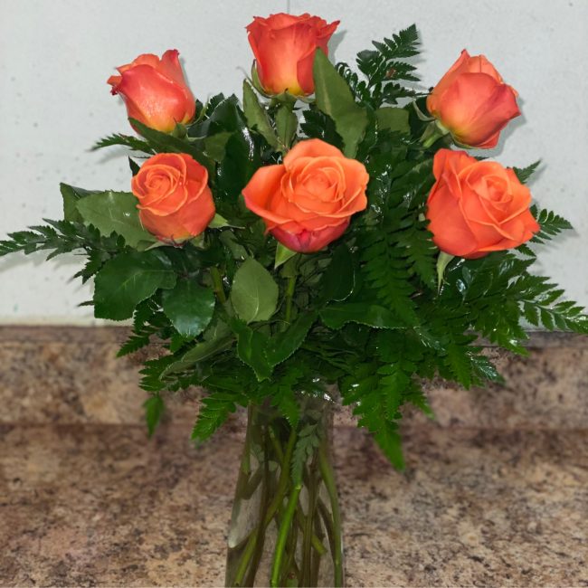 Half Dozen Orange Crush Roses – Mitchells Florist Orlando